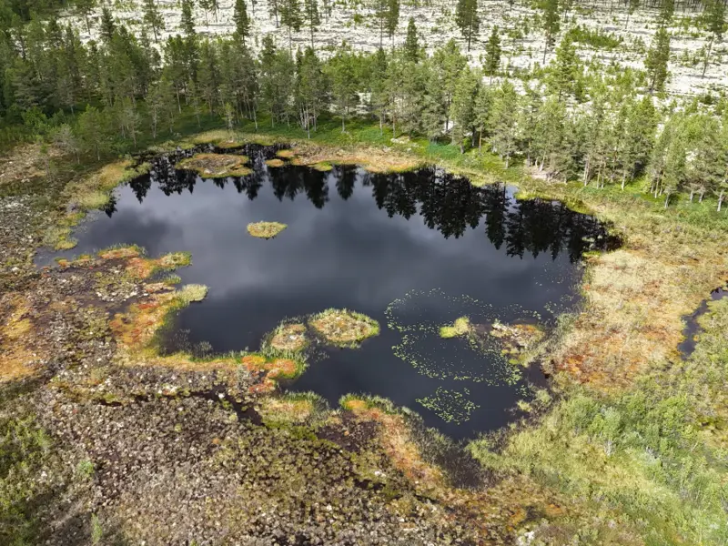 Kartlegging av biologisk tilstand i dammer og tjern i Åmot | INNO-UT